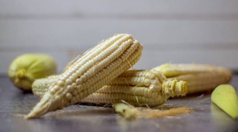 Cand se erbicideaza porumbul