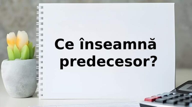 Ce înseamnă predecesor